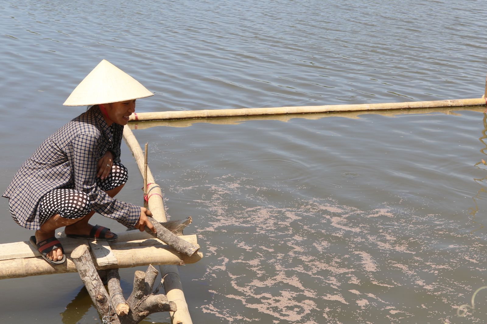 More Vietnamese households adopt integrated aquaculture systems as a ...