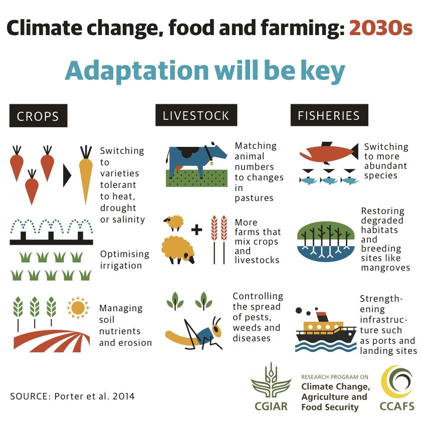 Climate change and farming: what you need to know about the IPCC report