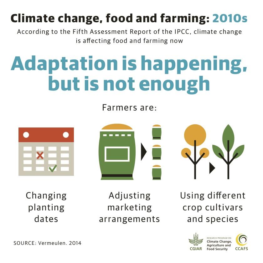 Climate change and farming: what you need to know about the IPCC report