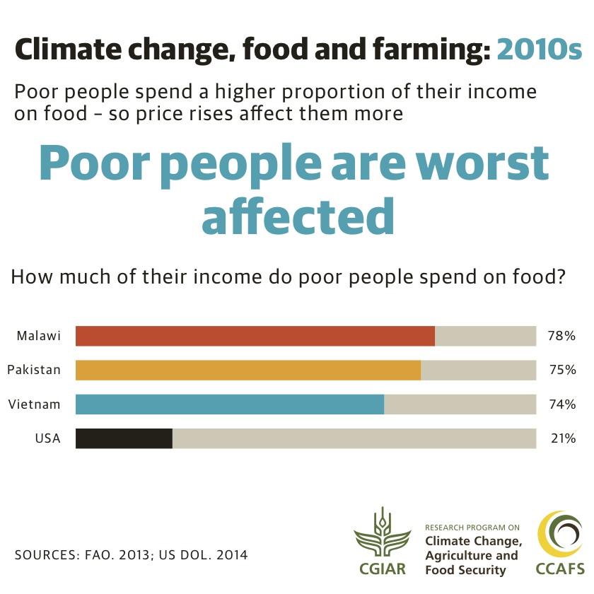 Climate change and farming: what you need to know about the IPCC report