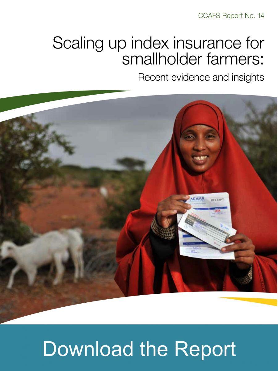 Index-based insurance