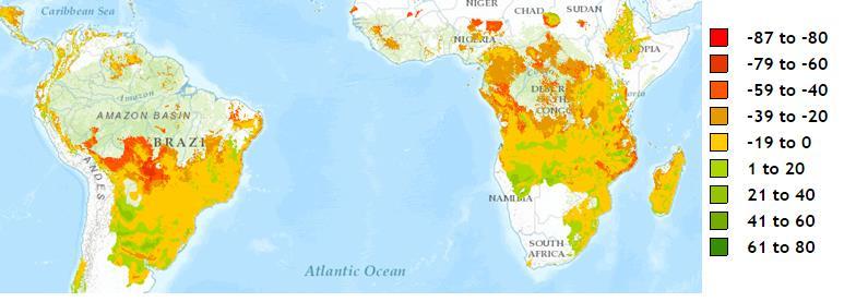 Turning down the heat: breeding beans for a changing climate