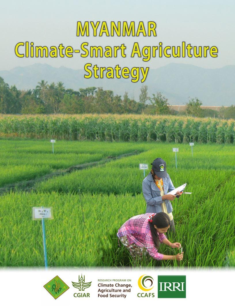 Myanmar’s climate-smart agriculture strategy: a roadmap to resilience ...