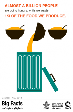 Infographic Food Security