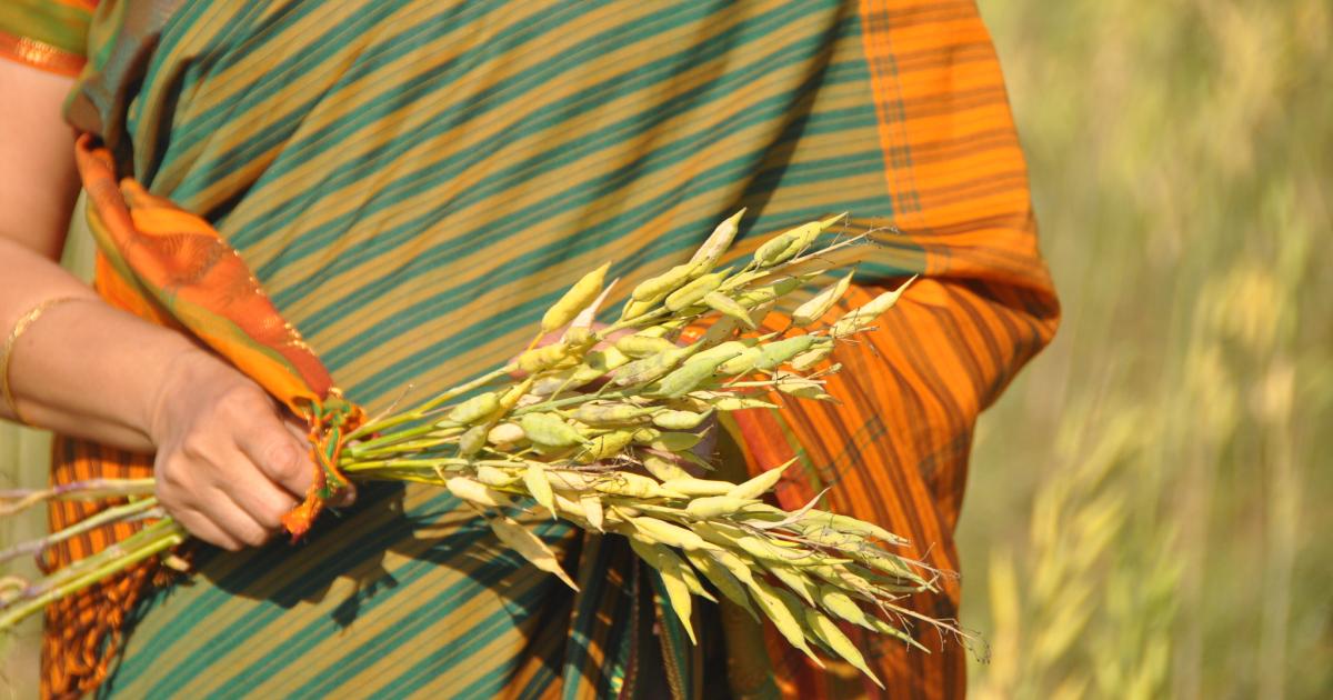 Scaling up of Climate-Smart Villages across the 38 districts of Bihar