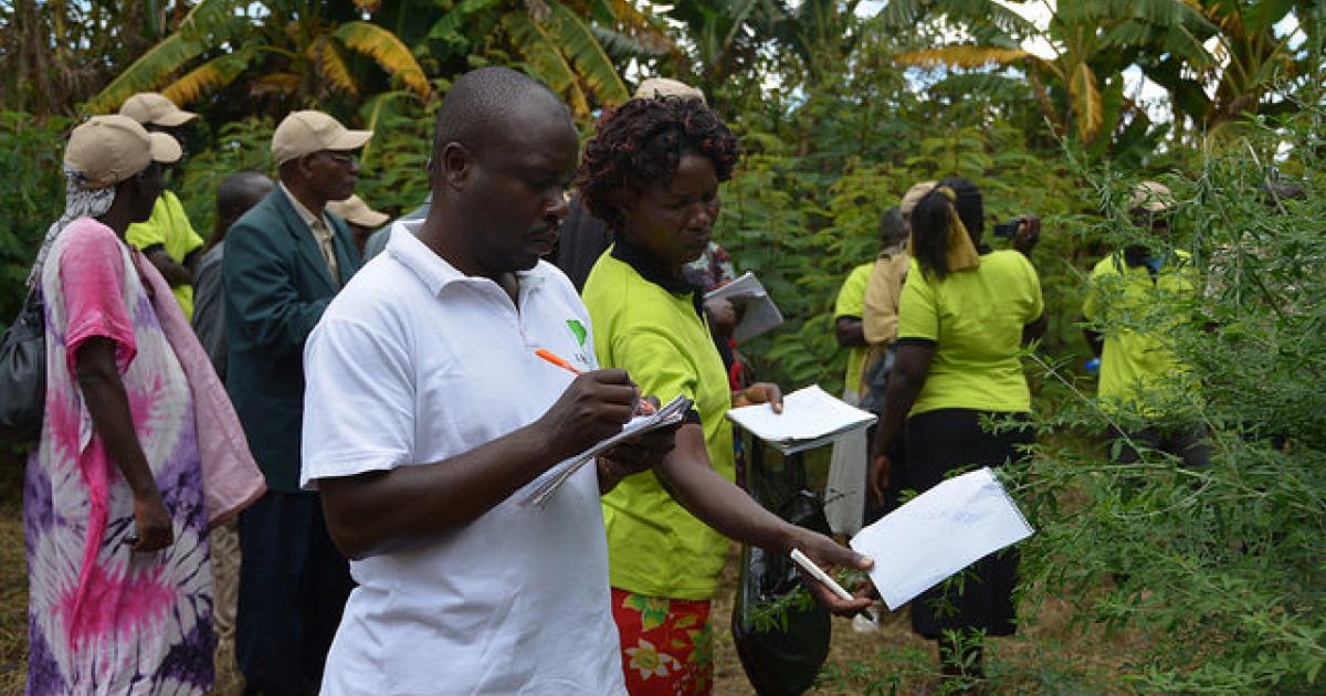 Examples of good practices on climate change adaptation from Nyando ...