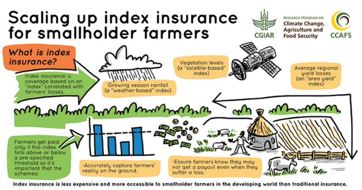 How can index insurance help smallholder farmers? Check out this ...
