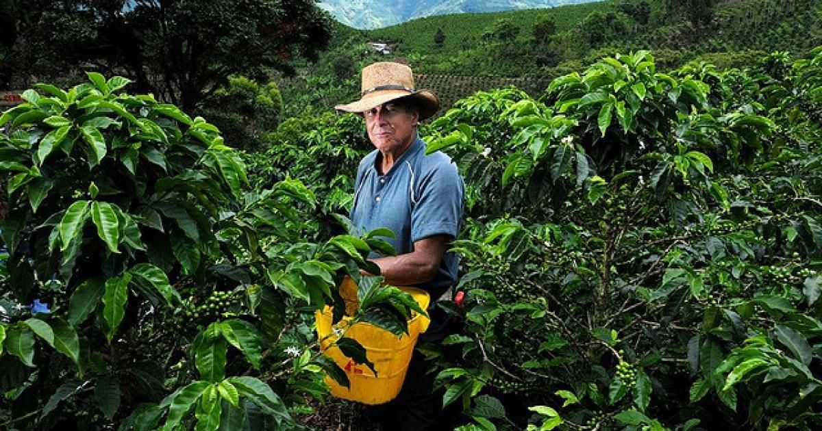 Are there synergies between climate change adaptation and mitigation in ...