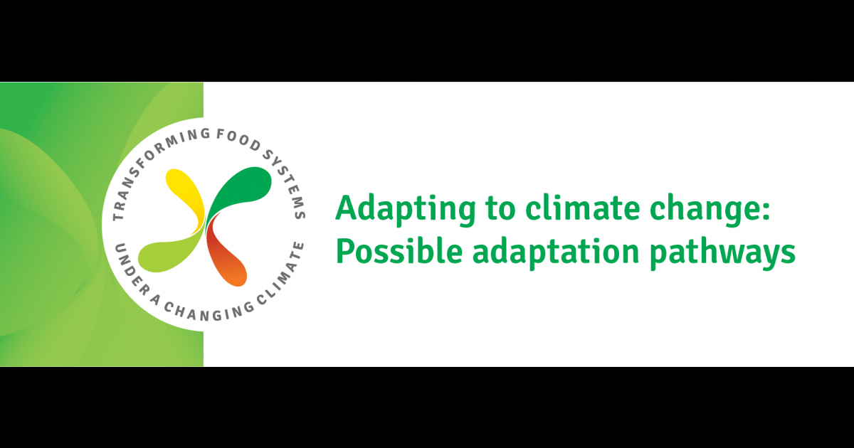 Transformation Initiative Paper Launch | Adapting to Climate Change ...