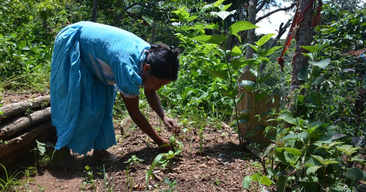 Olopa Climate-Smart Village, Guatemala