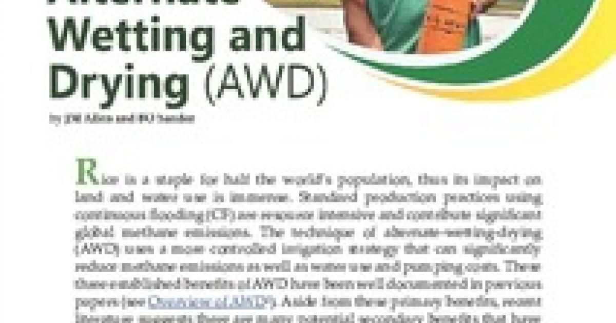 The Diverse Benefits of Alternate Wetting and Drying (AWD)