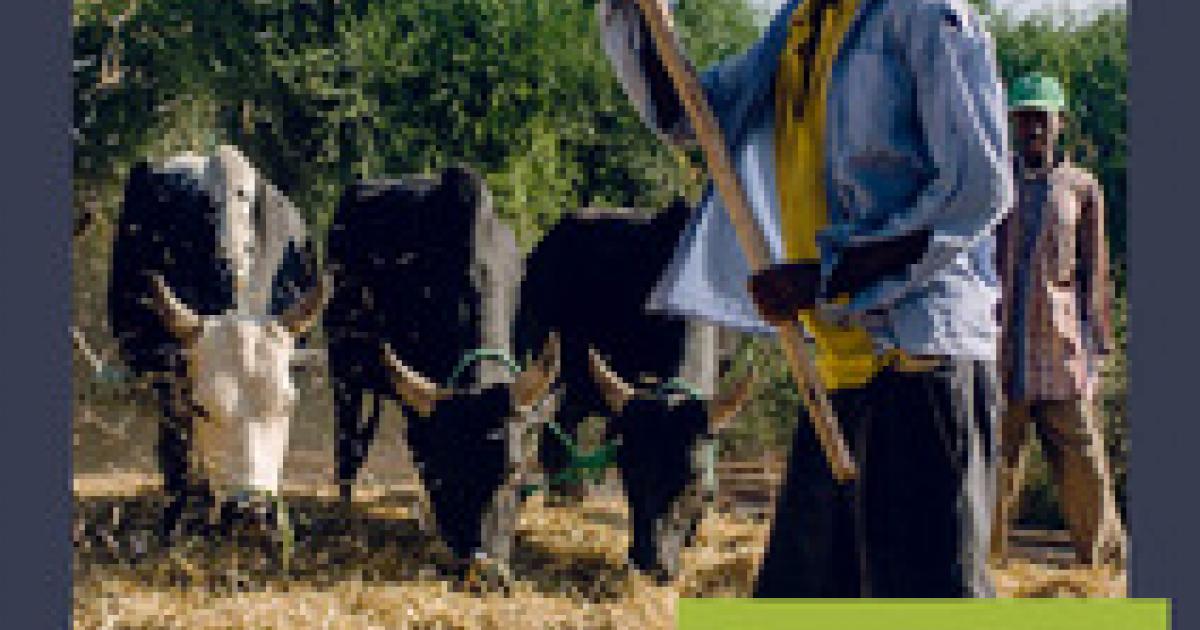 Inventory of greenhouse gas emissions from cattle, sheep and goats in ...