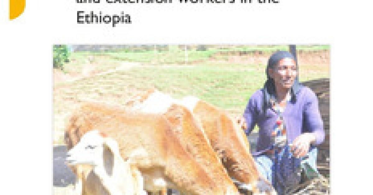 Sheep fattening: A manual for livestock farmers and extension workers ...