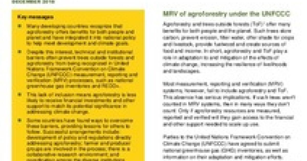 Making trees count in non-Annex I countries: Measurement, reporting and ...