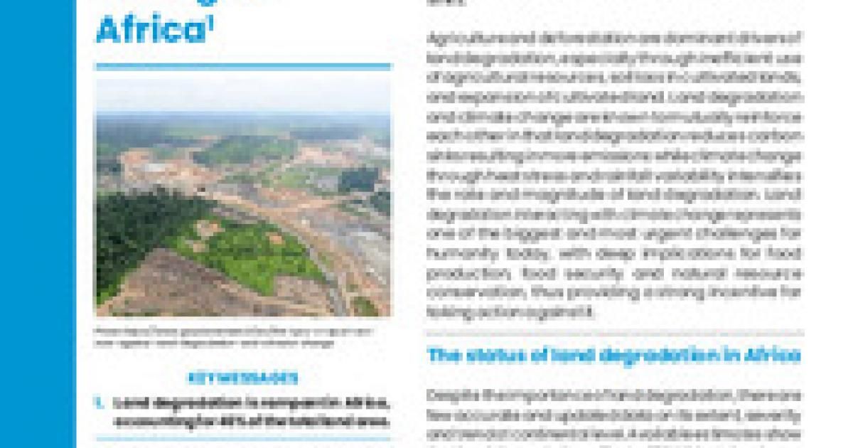Land Degradation and Climate Change in Africa
