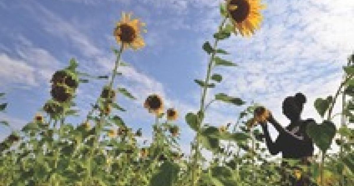 Planning climate adaptation in agriculture