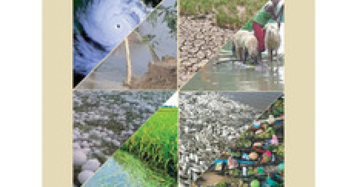 Potential impact of climate change on crop insect pests and diseases in ...