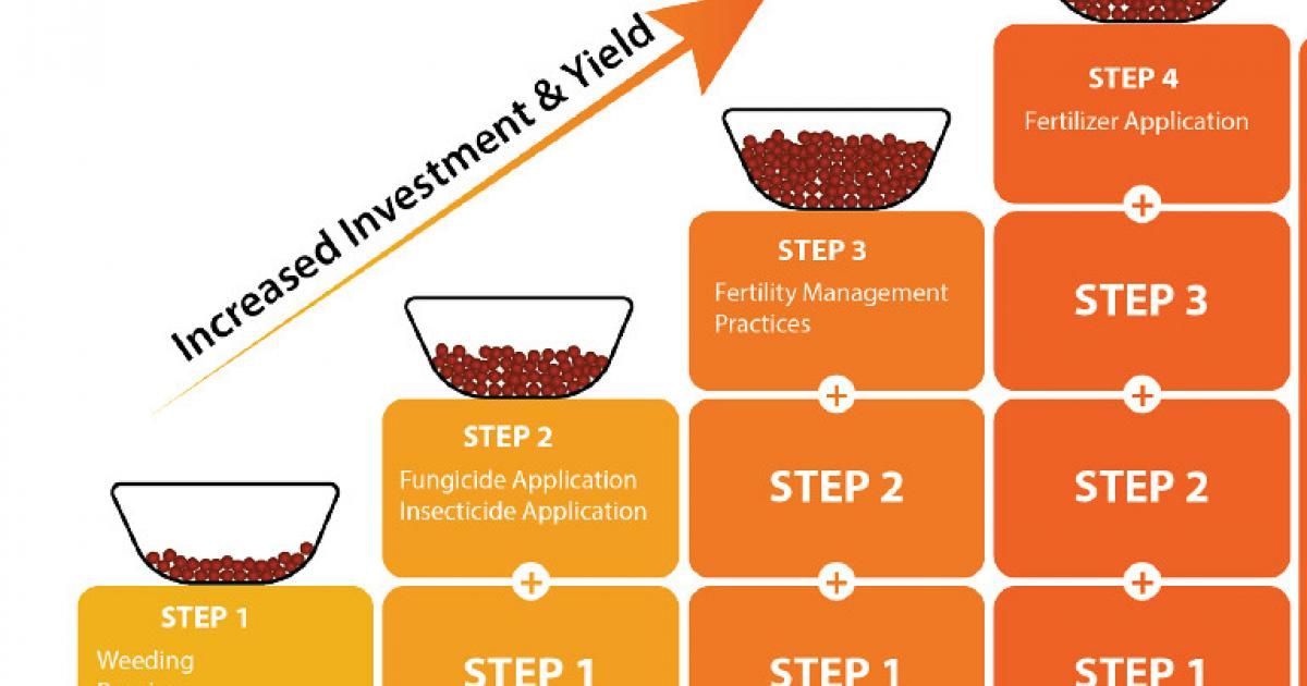 Reviewing the Climate-Smart Cocoa practices to help farmers adapt to ...