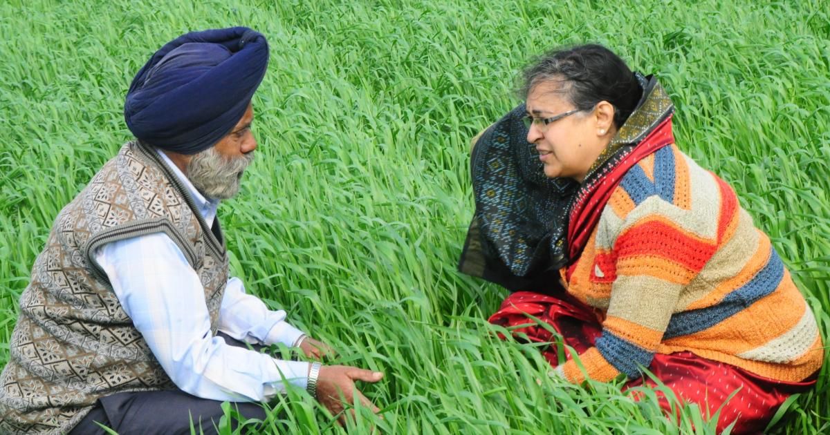 Farming systems modeling: opportunities and challenges