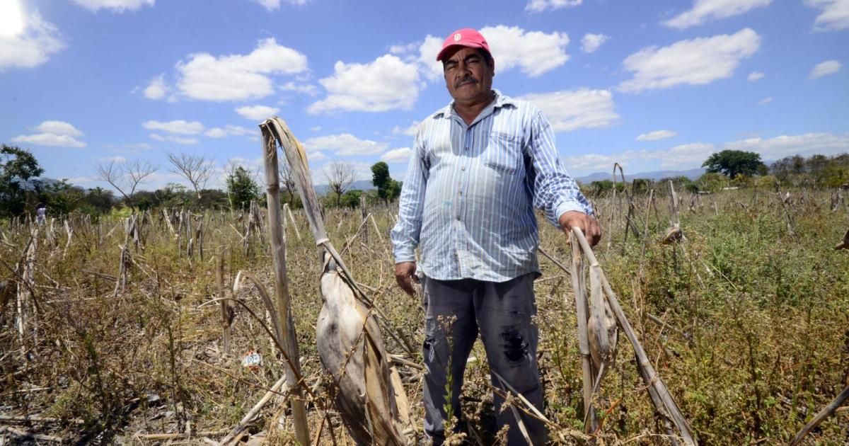 A look at how a changing climate will hit South and Central America