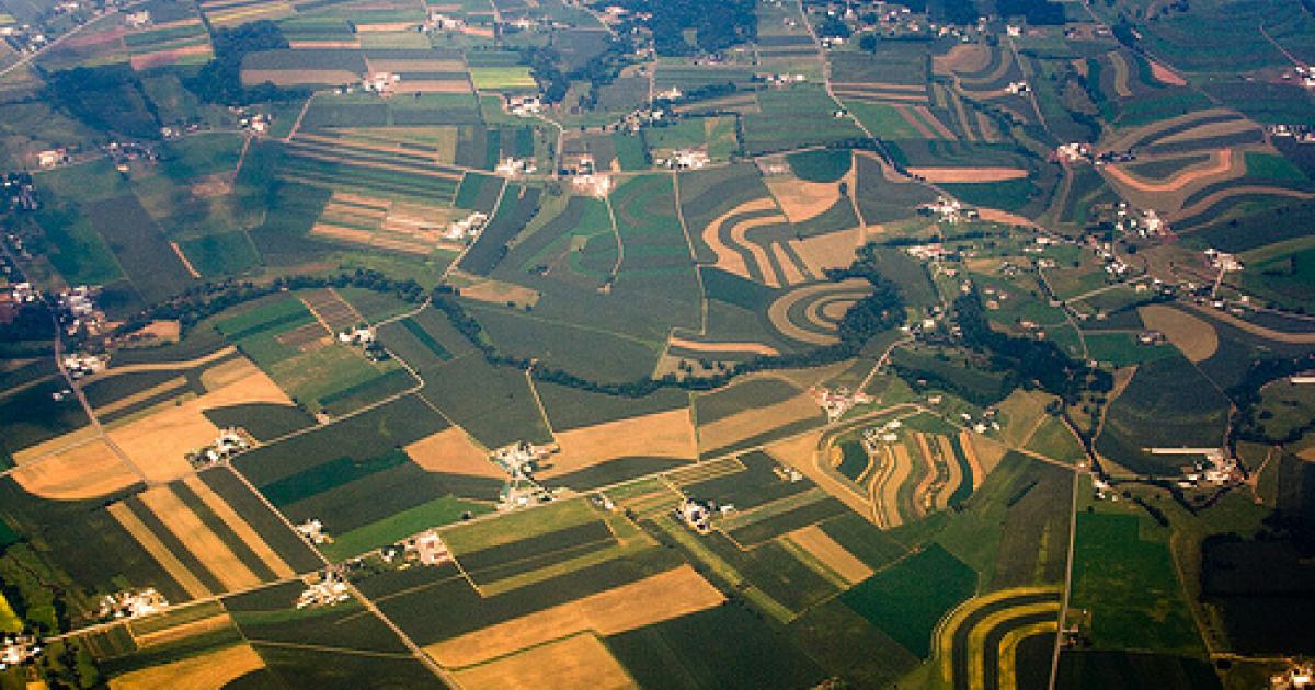 New hybrid cropland map shows global agricultural land use